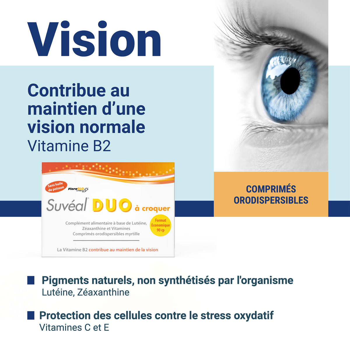 Suvéal Duo® à croquer – Laboratoire Densmore